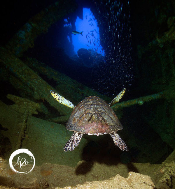 Dive RMS Rhone - History & Adventure - H2O Luxury Yachts