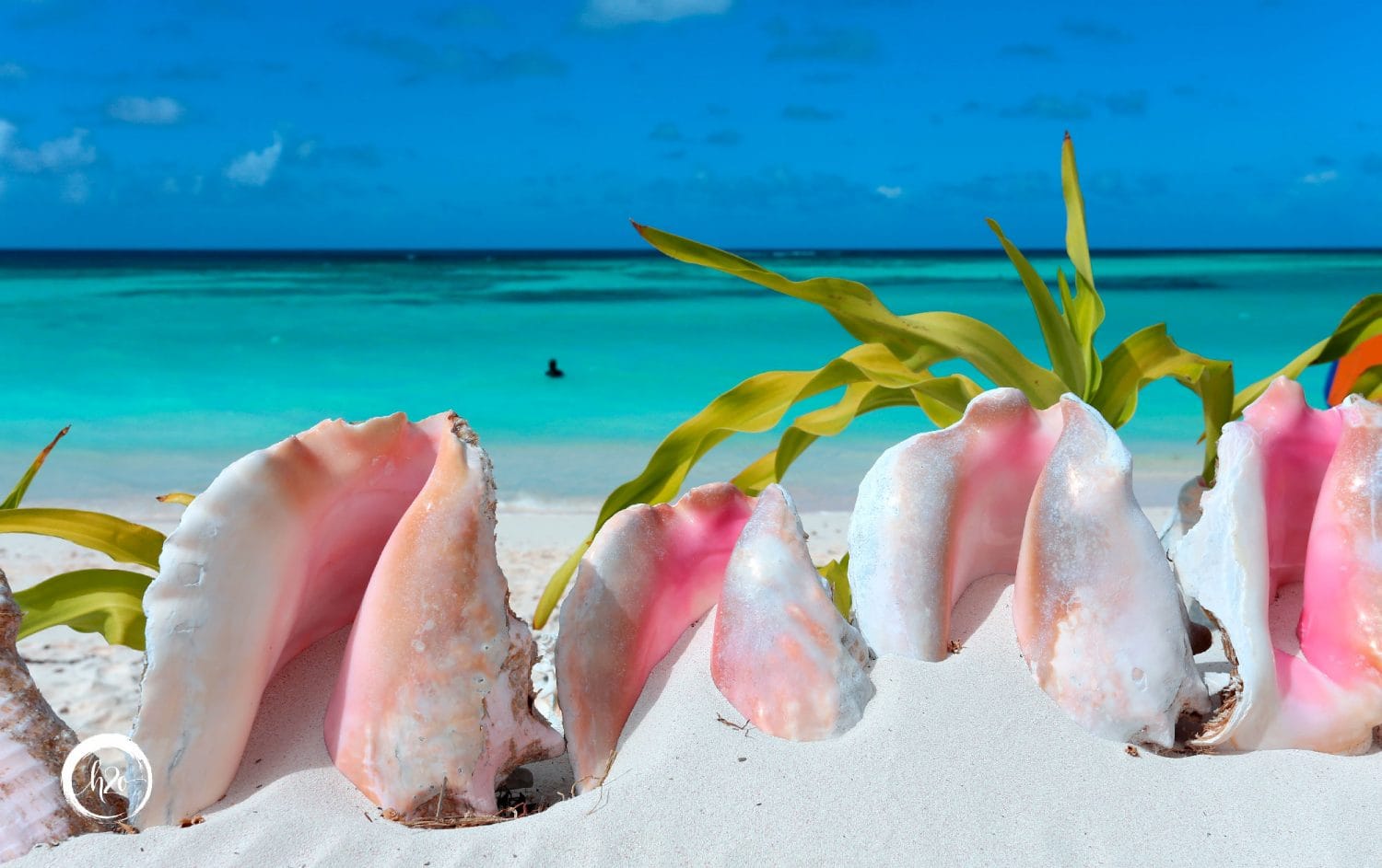 Anegada British Virgin Islands - H2O Luxury Yachts DBA Epic Yacht ...