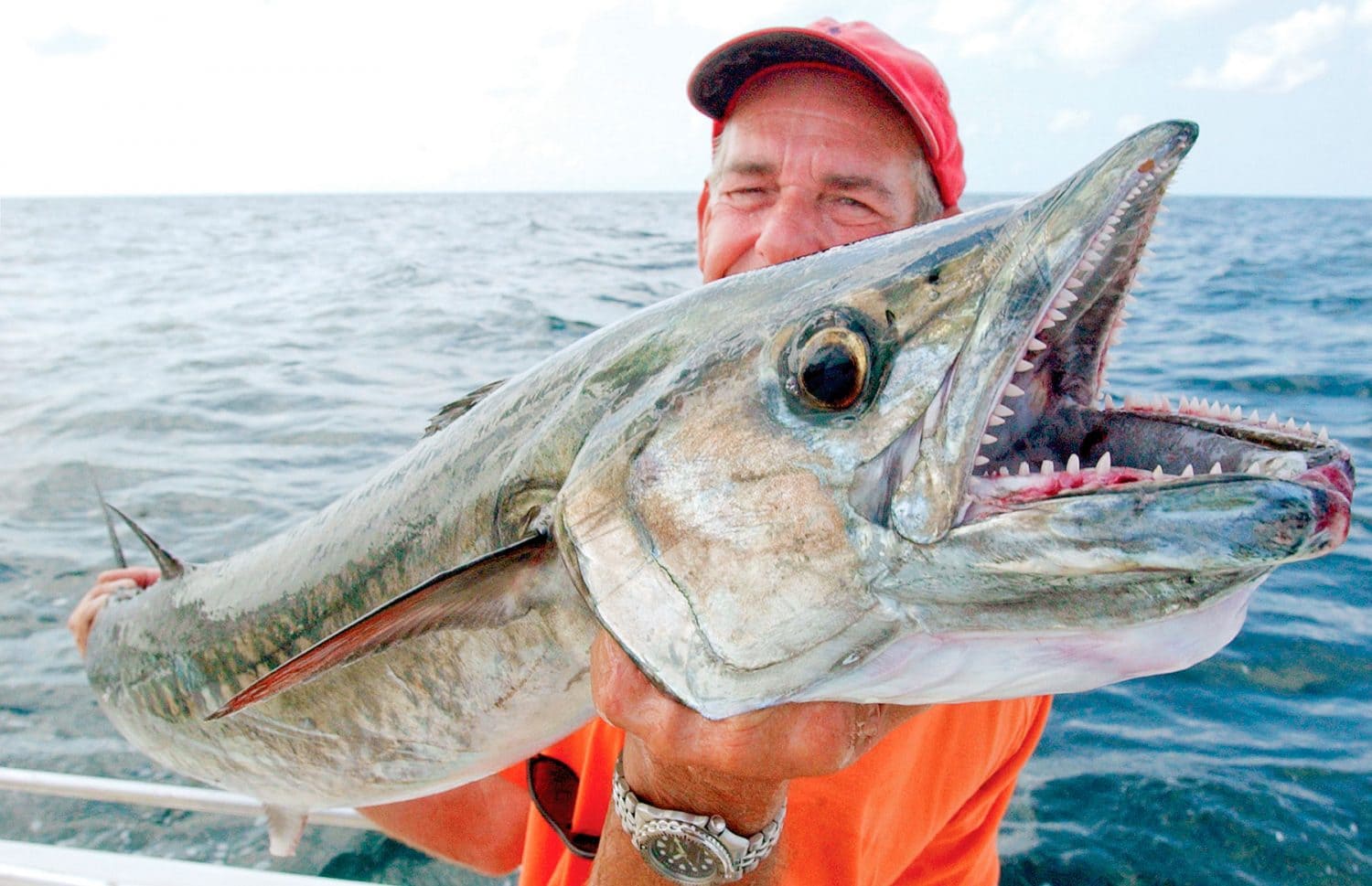 Ciguatera Poisoning British Virgin Islands - H2O Luxury Yachts DBA Epic ...